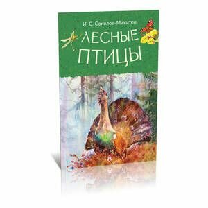 Соколов-Микитов: Лесные птицы. Серия Книжка-невеличка Издательство АСТ