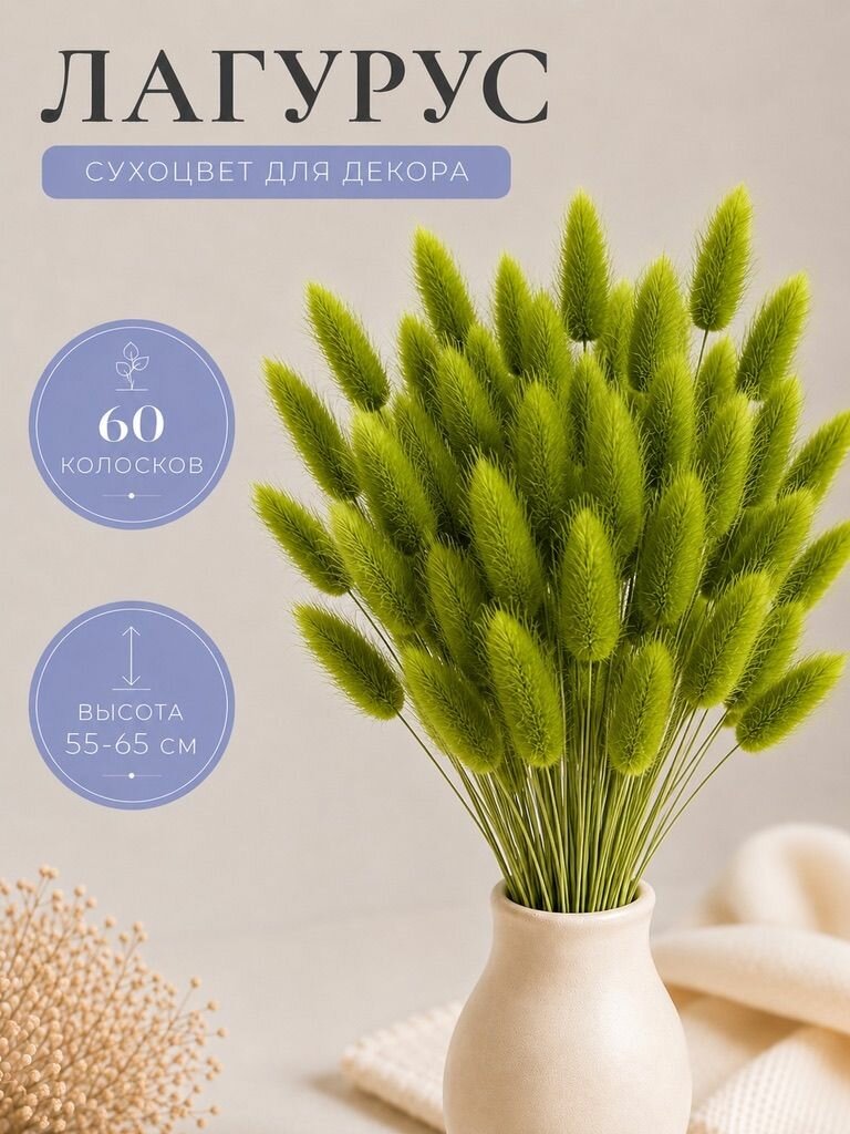 Лагурус сухоцвет для декора зайцехвост