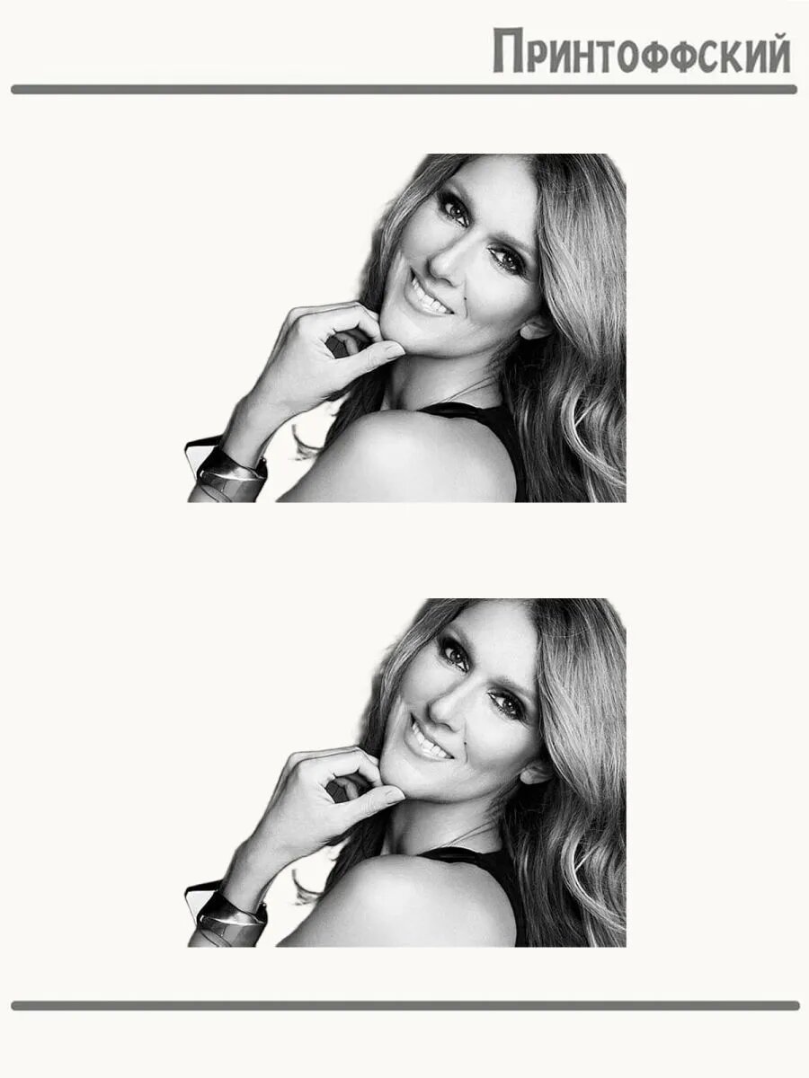 2-е (Две) Термонаклейки Celine Dion Селена Дион