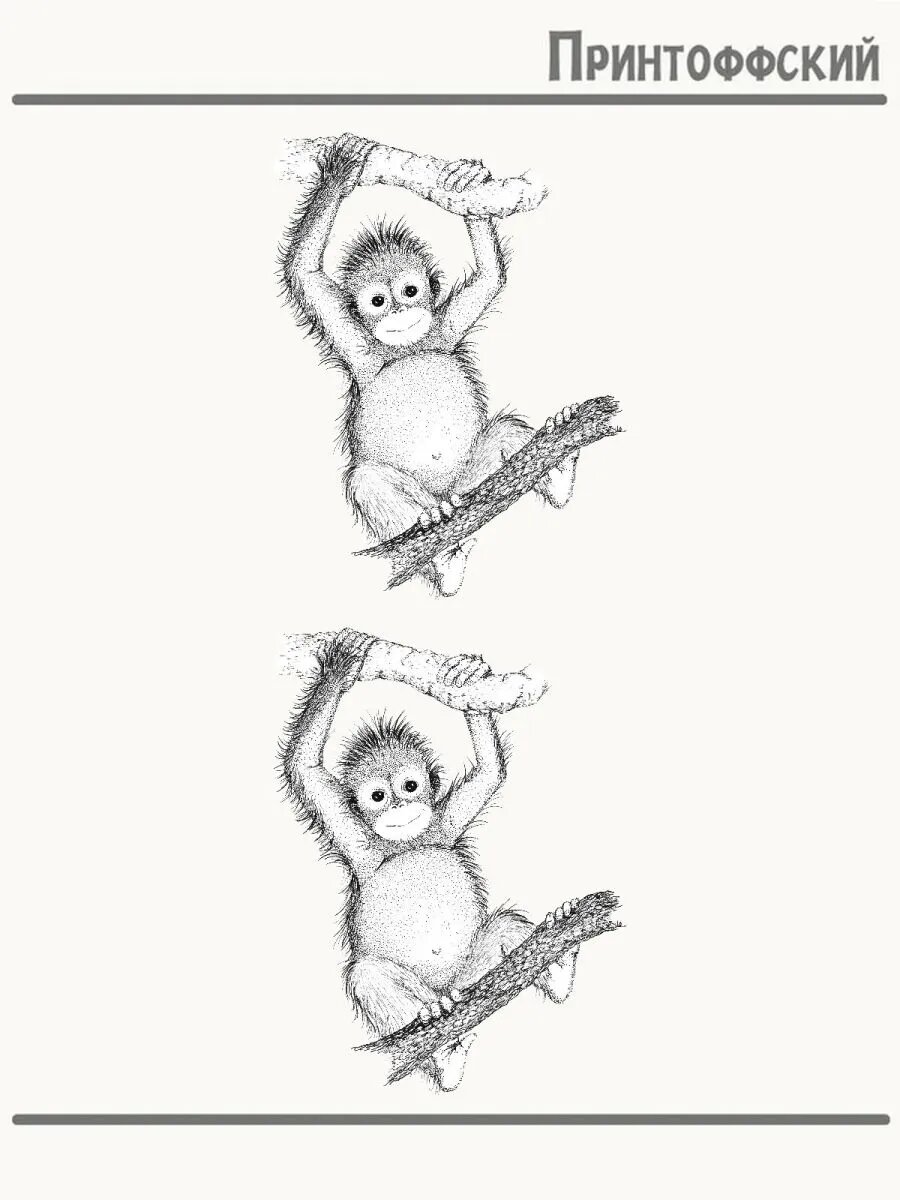 2-е (Две) Термонаклейки карандашом обезьянка monkey