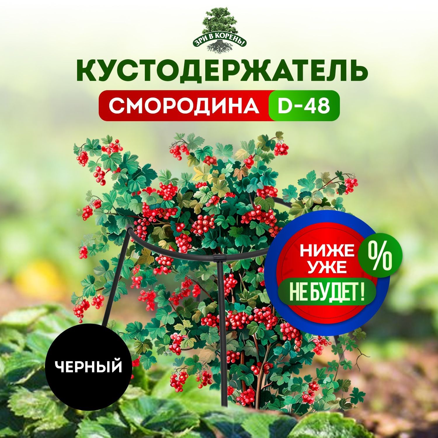 Кустодержатель Зри в корень! Смородина черный
