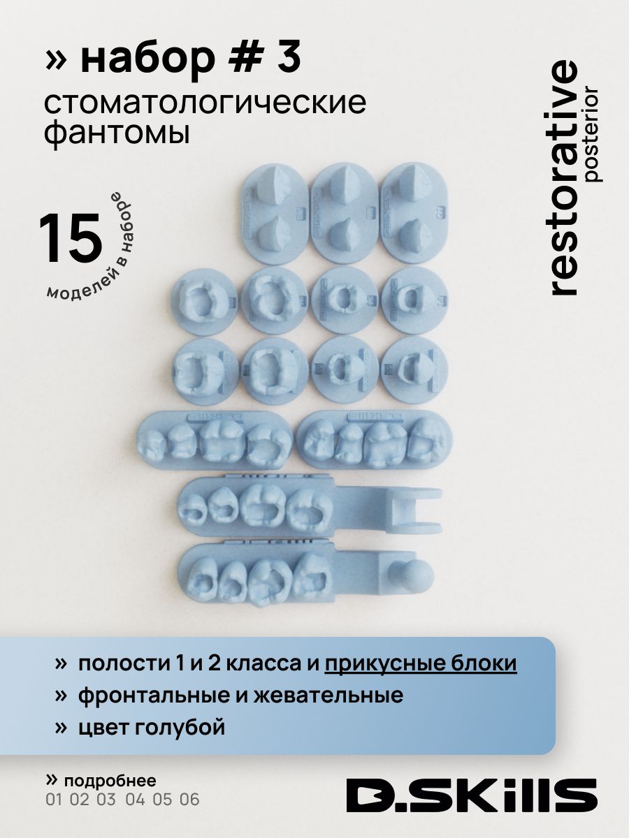 SET #3 Модели зубов для реставрации + прикусные блоки