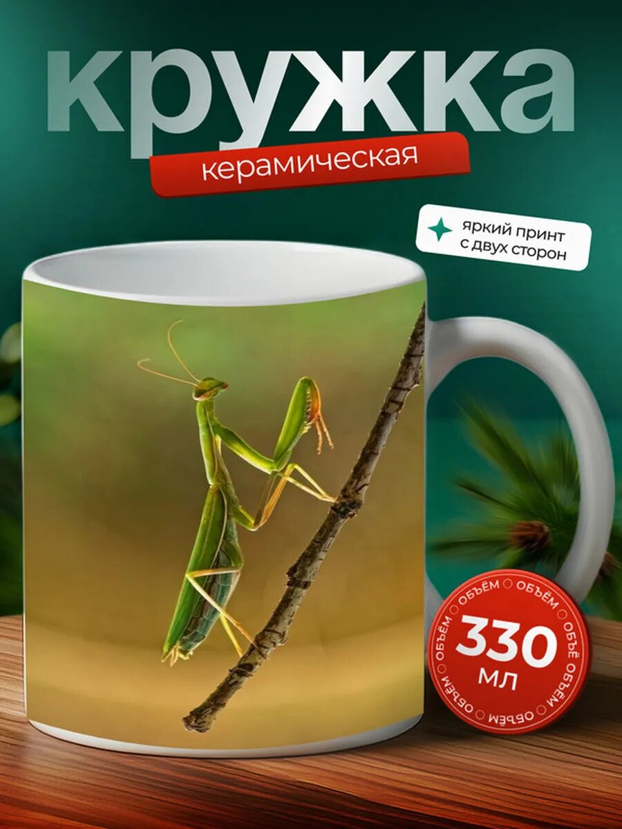 Кружка Богомол насекомое 12,