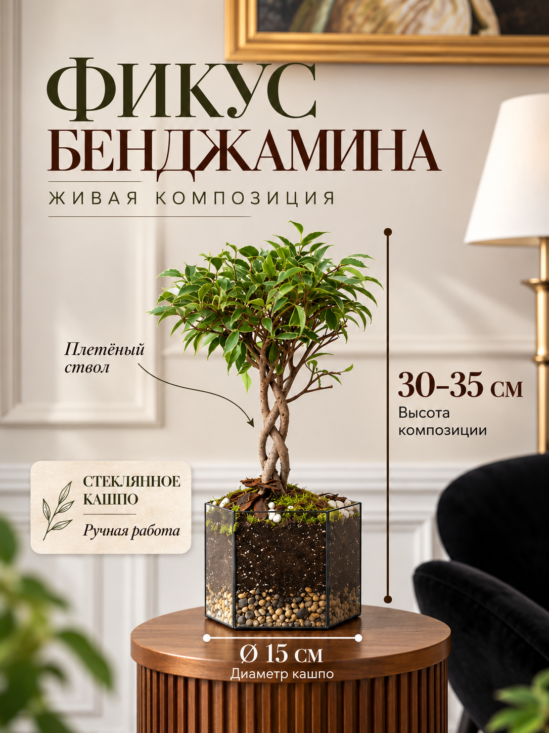 Фикус Бенджамина плетёный живой цветок в стеклянном кашпо Пятиугольник, 30 -35 см