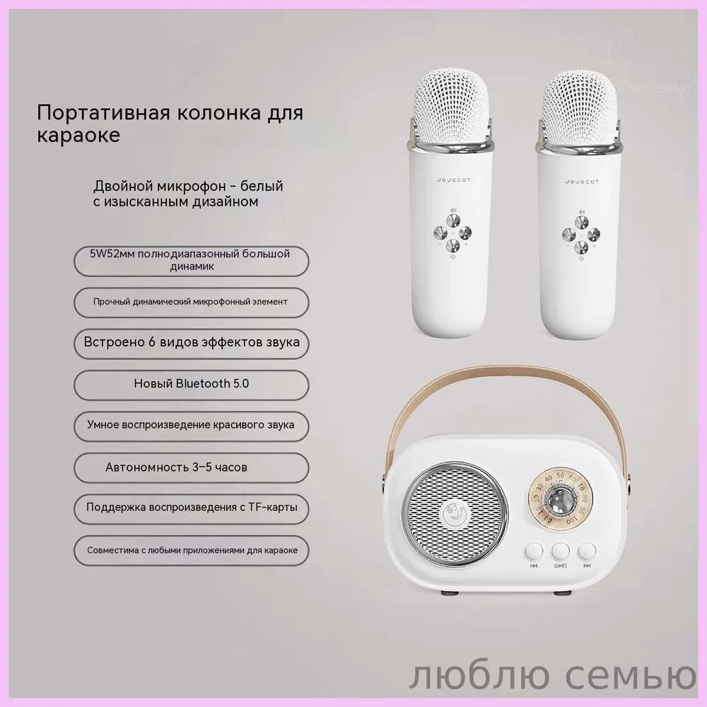 Караоке система с поддержкой Bluetooth, колонка с двумя беспроводными микрофонами1
