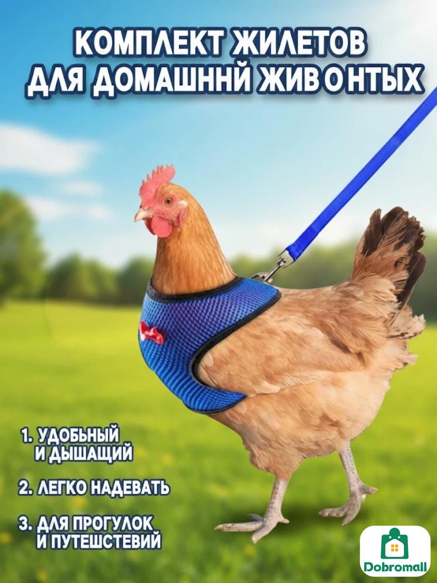 Дышащий сетчатый костюм из курицы и утки в виде жилета для домашних животных для кошек и собак
