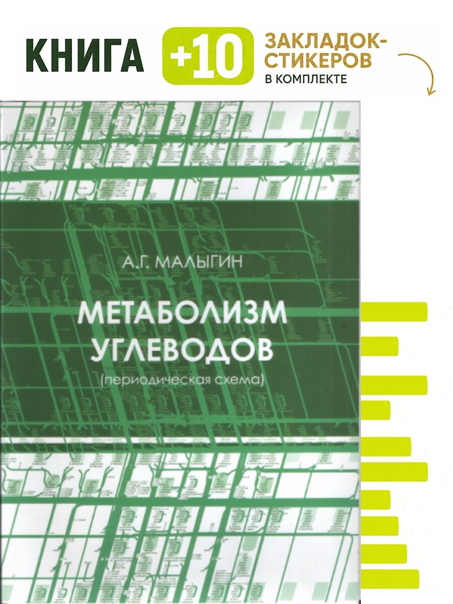 Метаболизм углеводов. Периодическая схема. Комплект: книга + 10 закладок-стикеров