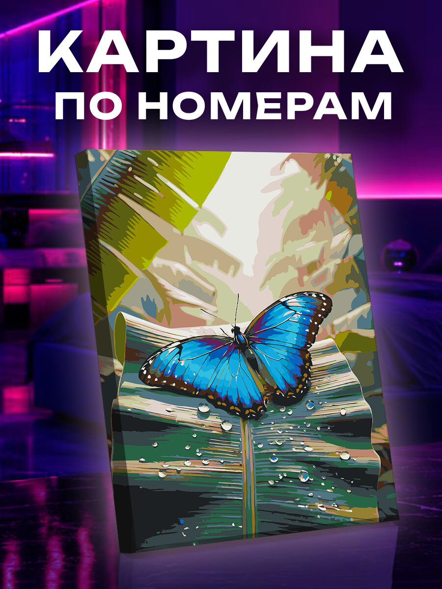 Картина по номерам Бабочка