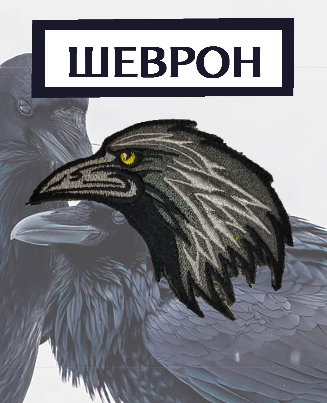 Нашивка, шеврон, патч текстильный "Ворон"