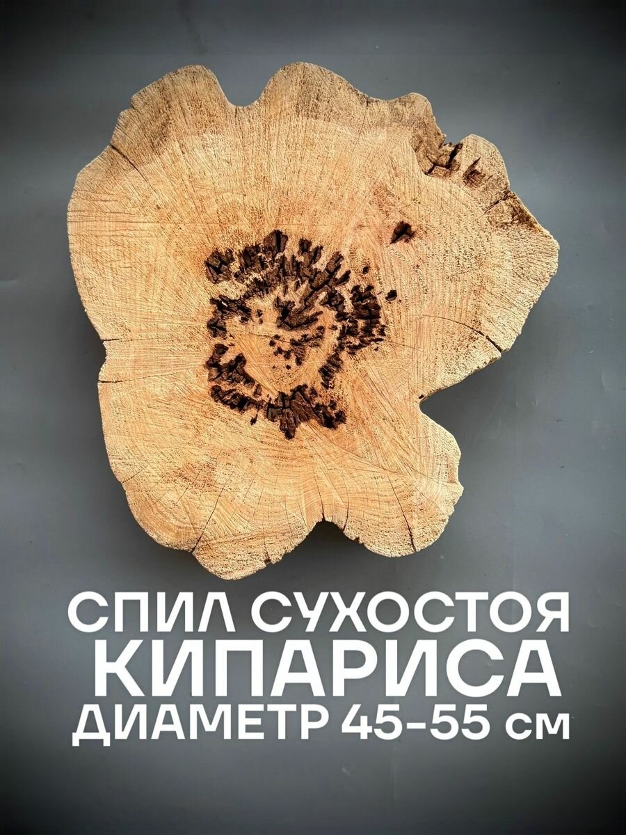 Спил Кипариса диаметр 45-55 см толщина 8 см Сухостой.