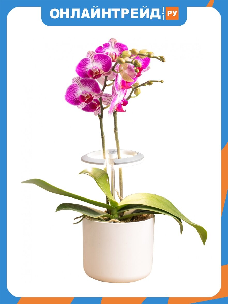 Cветильник для растений Cactus Garden светодиодный 7.5Вт цвет света белый