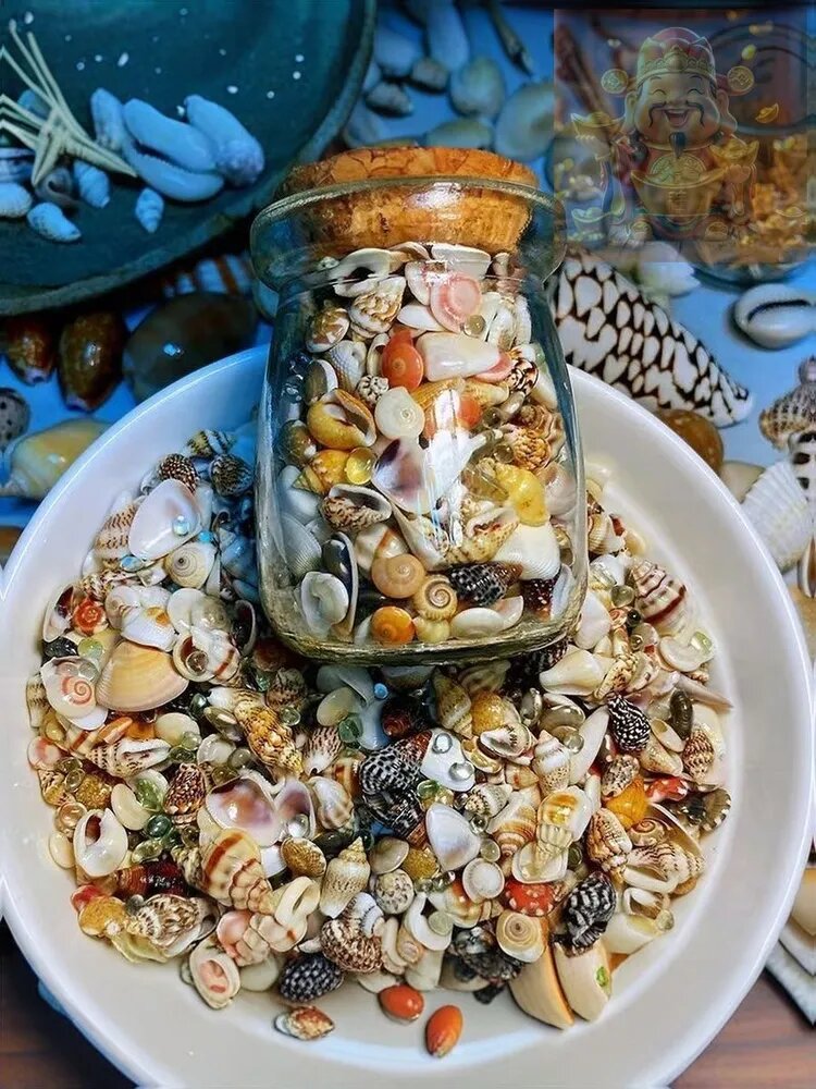 Украшение аквариума из маленькой раковины-ракушки