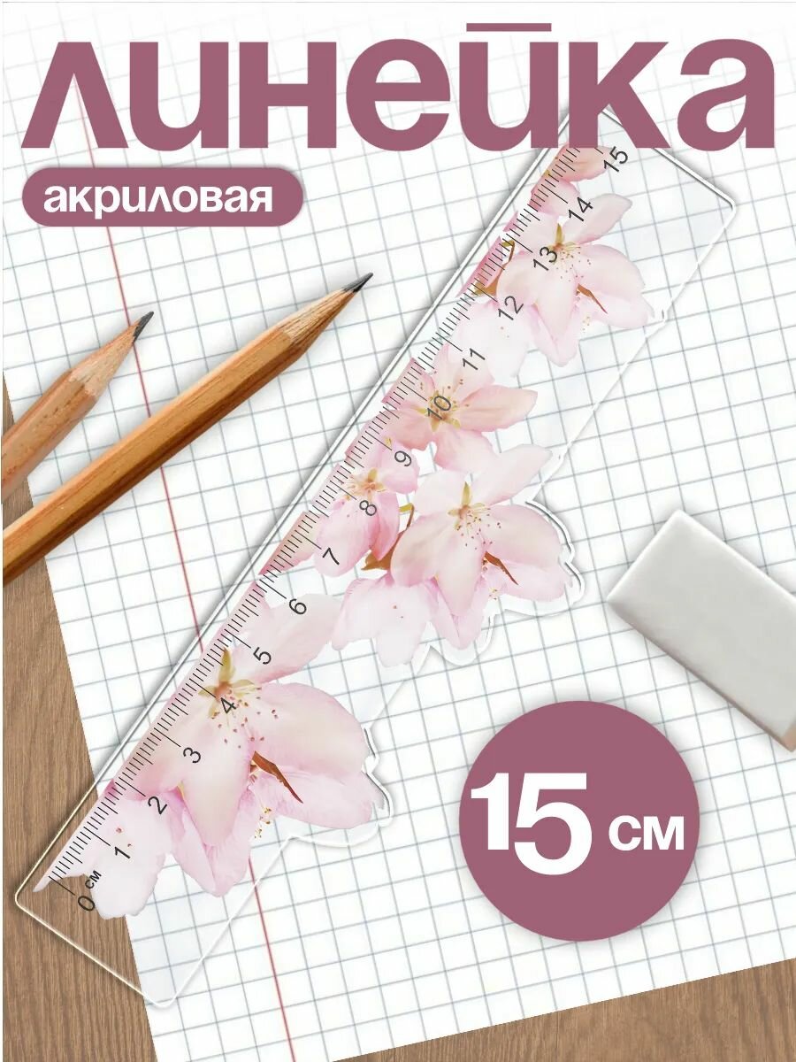 Канцелярия для школы линейка 15 см сакура эстетика