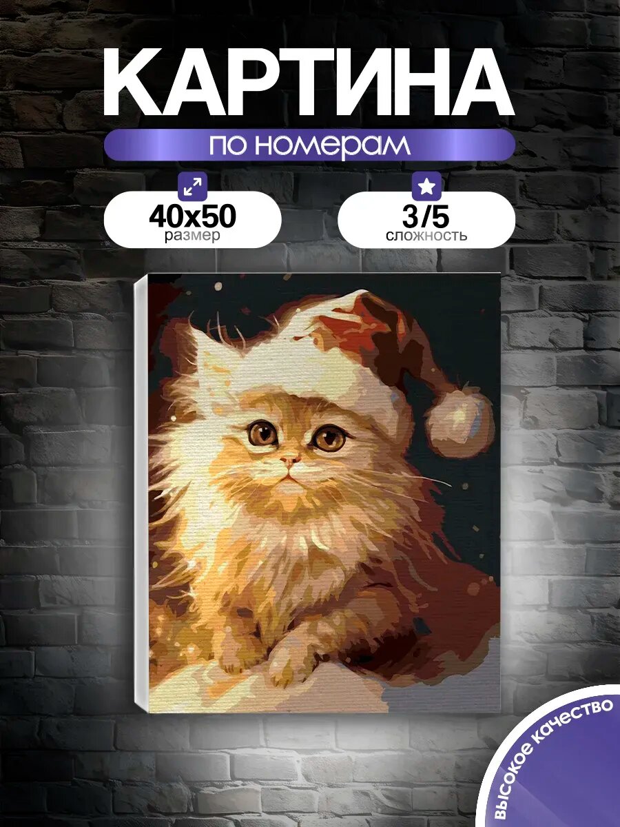 Картина по номерам Котик в шапке