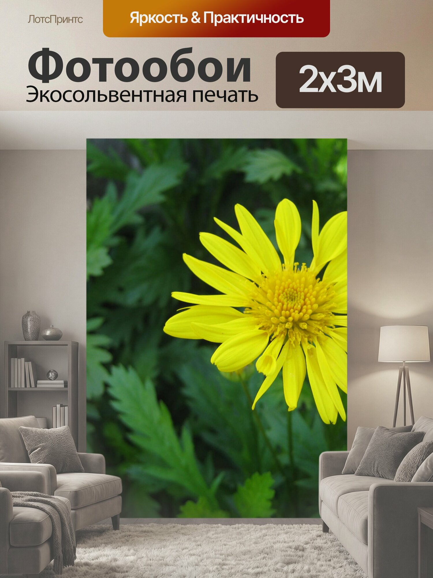 Фотообои "Желтая ромашка Желтая ромашка недавно открывшийся желтый ромашка цветок" 200x300 см. экосольвентная печать