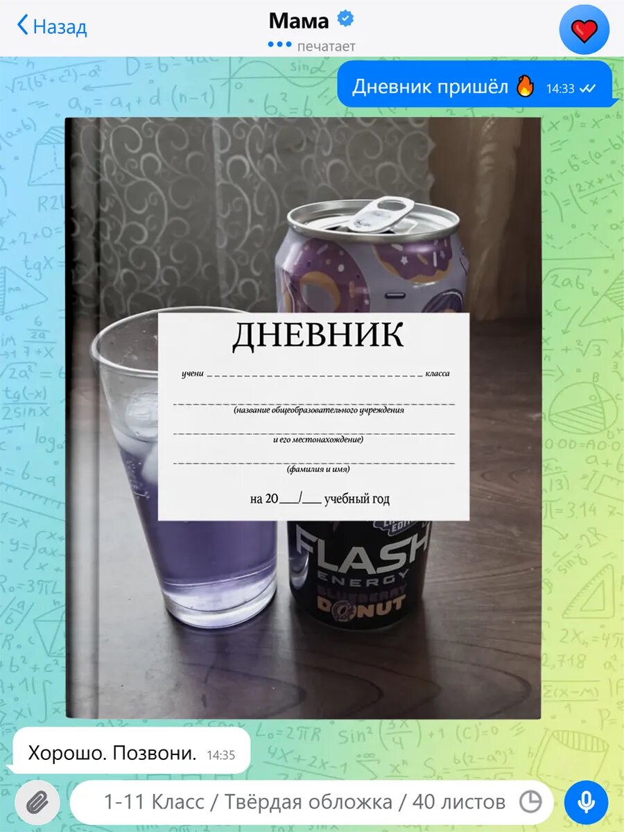 Школьный дневник с принтом Роблокс