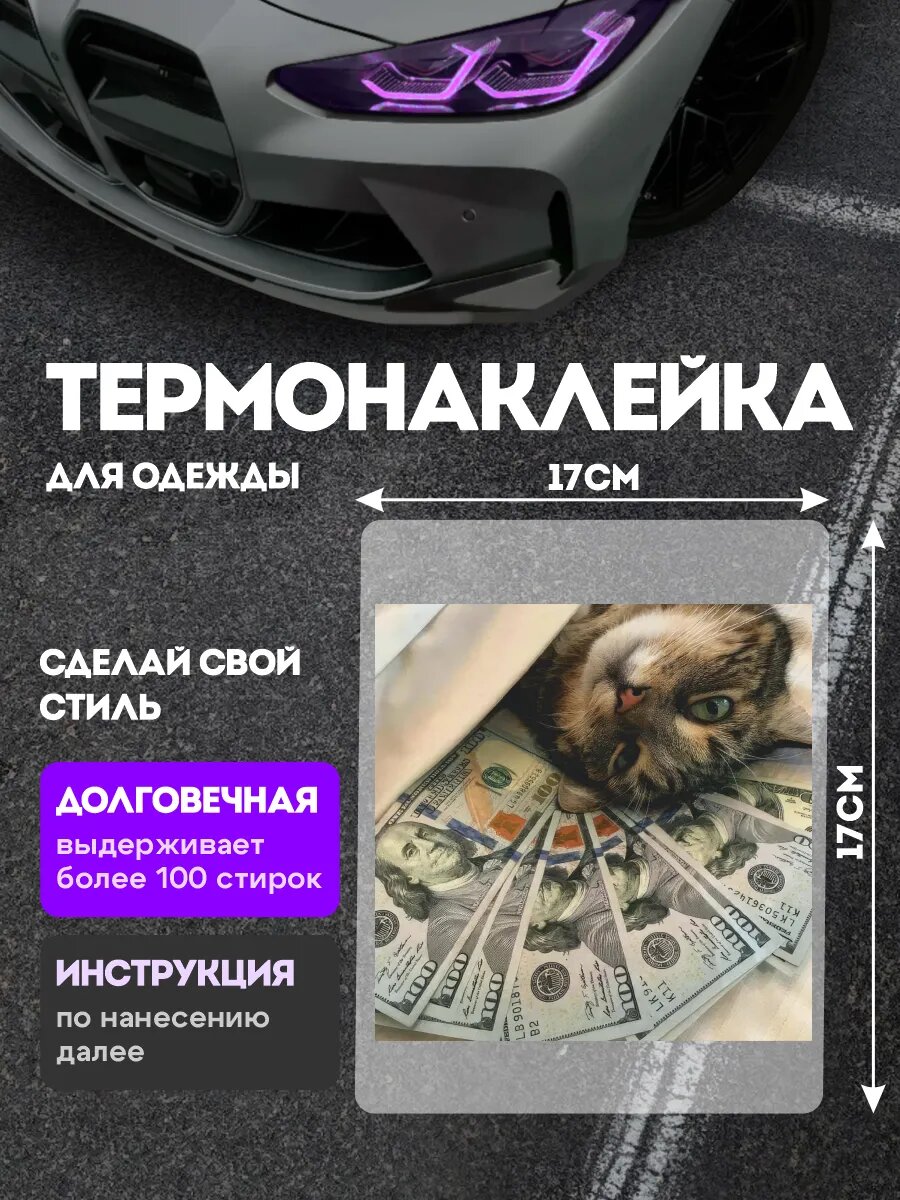 Термонаклейка на одежду котята прикол