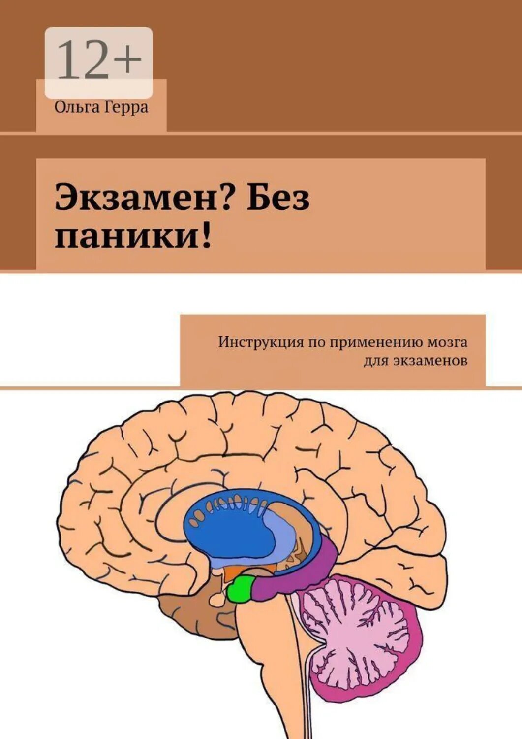 Экзамен? Без паники! Инструкция по применению мозга для экзаменов [Цифровая книга]