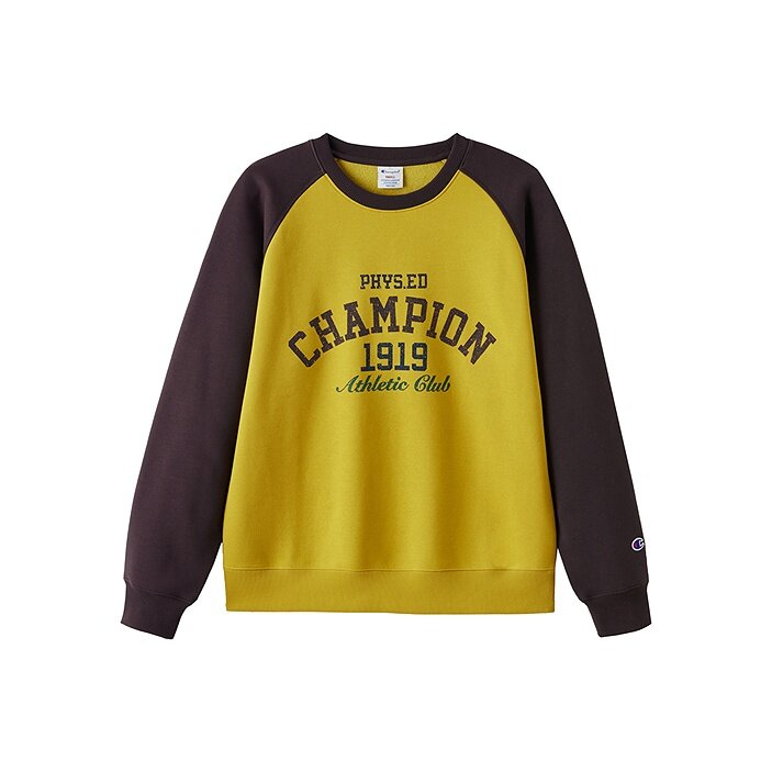 Толстовка Champion Retro Sports