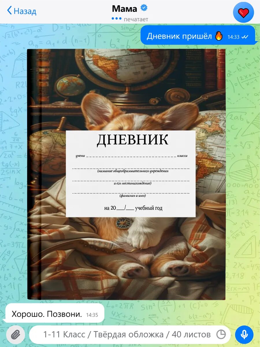 Школьный дневник с принтом Роблокс