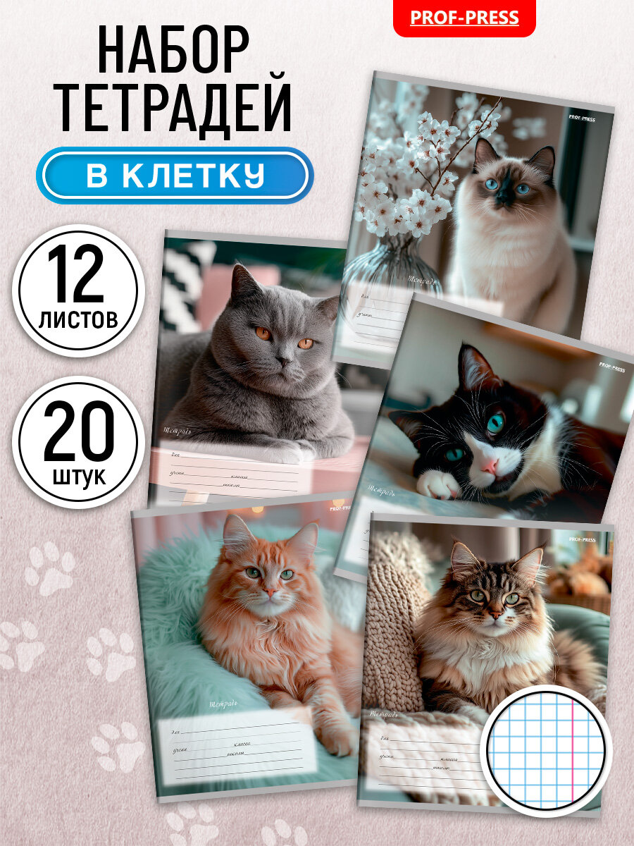 Тетрадь в клетку 12 листов Prof-Press, 20 штук