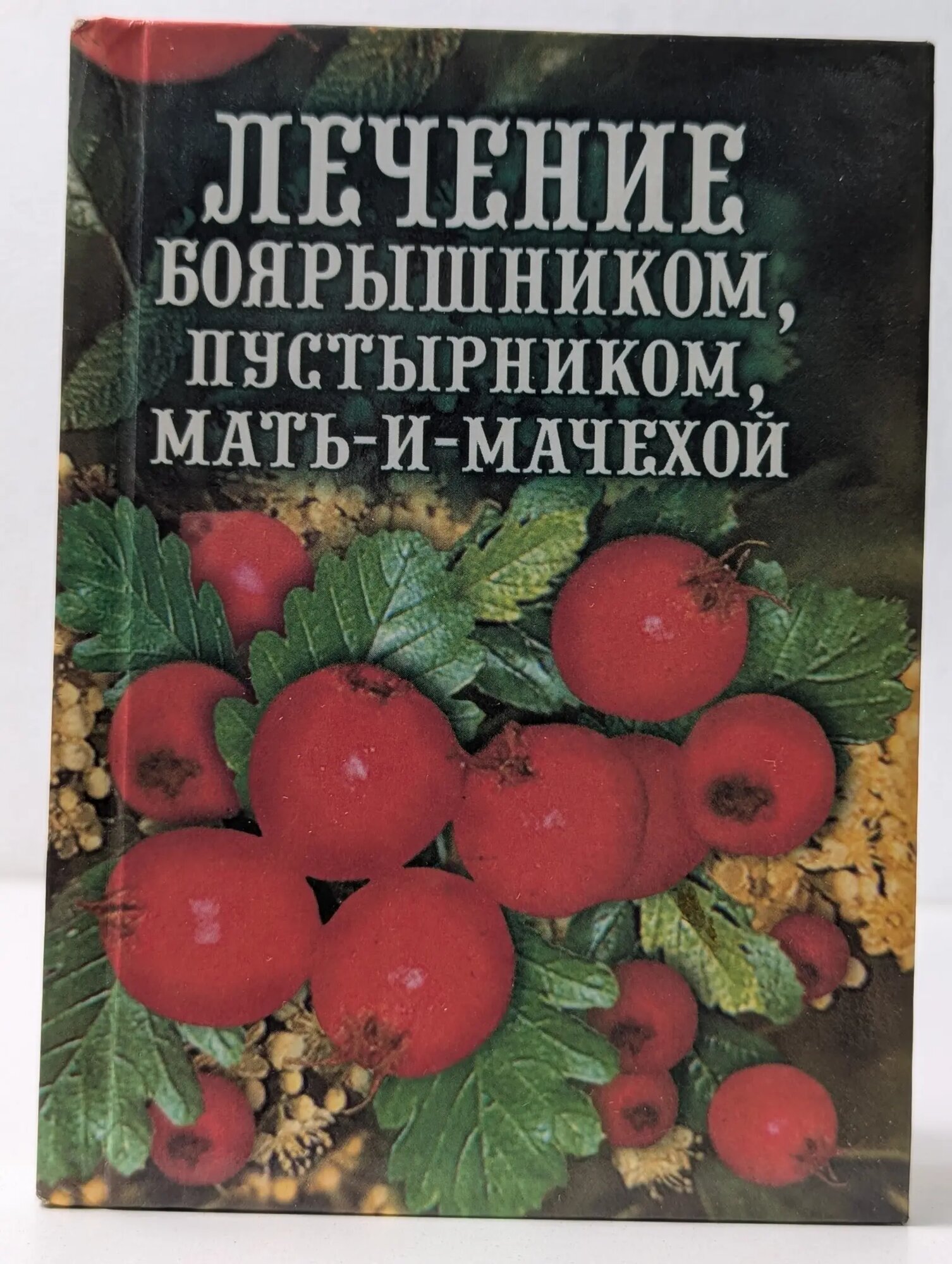 Лечение боярышником, пустырником, мать-и-мачехой Рощин Илья Иванович 2000