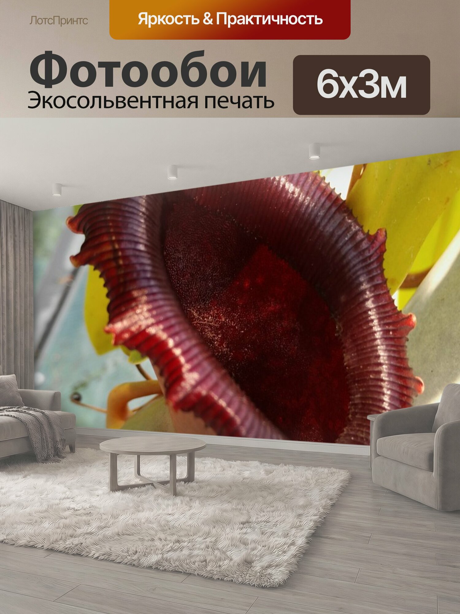 Фотообои "Непентес, ботанический сад, будапешт" 600x300 см. экосольвентная печать