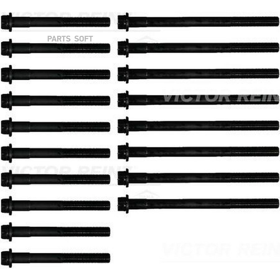VICTOR REINZ 143238801 14-32388-01 комплект болтов ГБЦ! 10шт.\ Toyota Prado/Hiace 02>