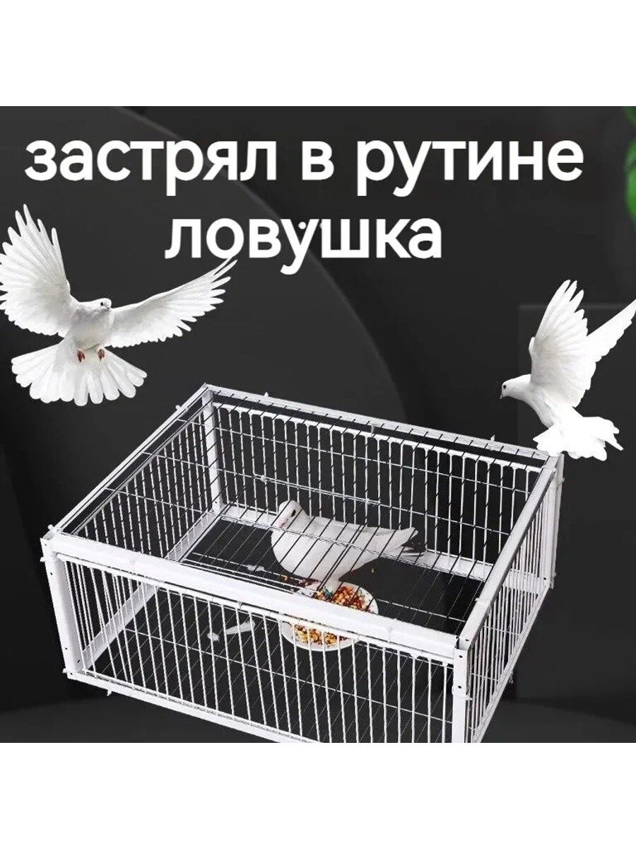 Клетка-ловушка для голубей см, белая, разборная конструкция для отлова птиц