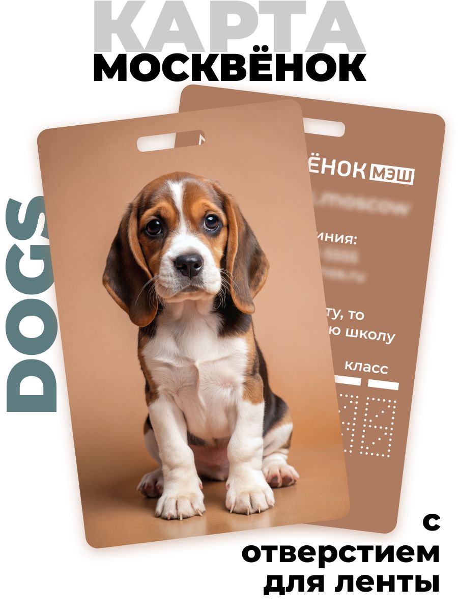 Карта Москвёнок DOGS №1