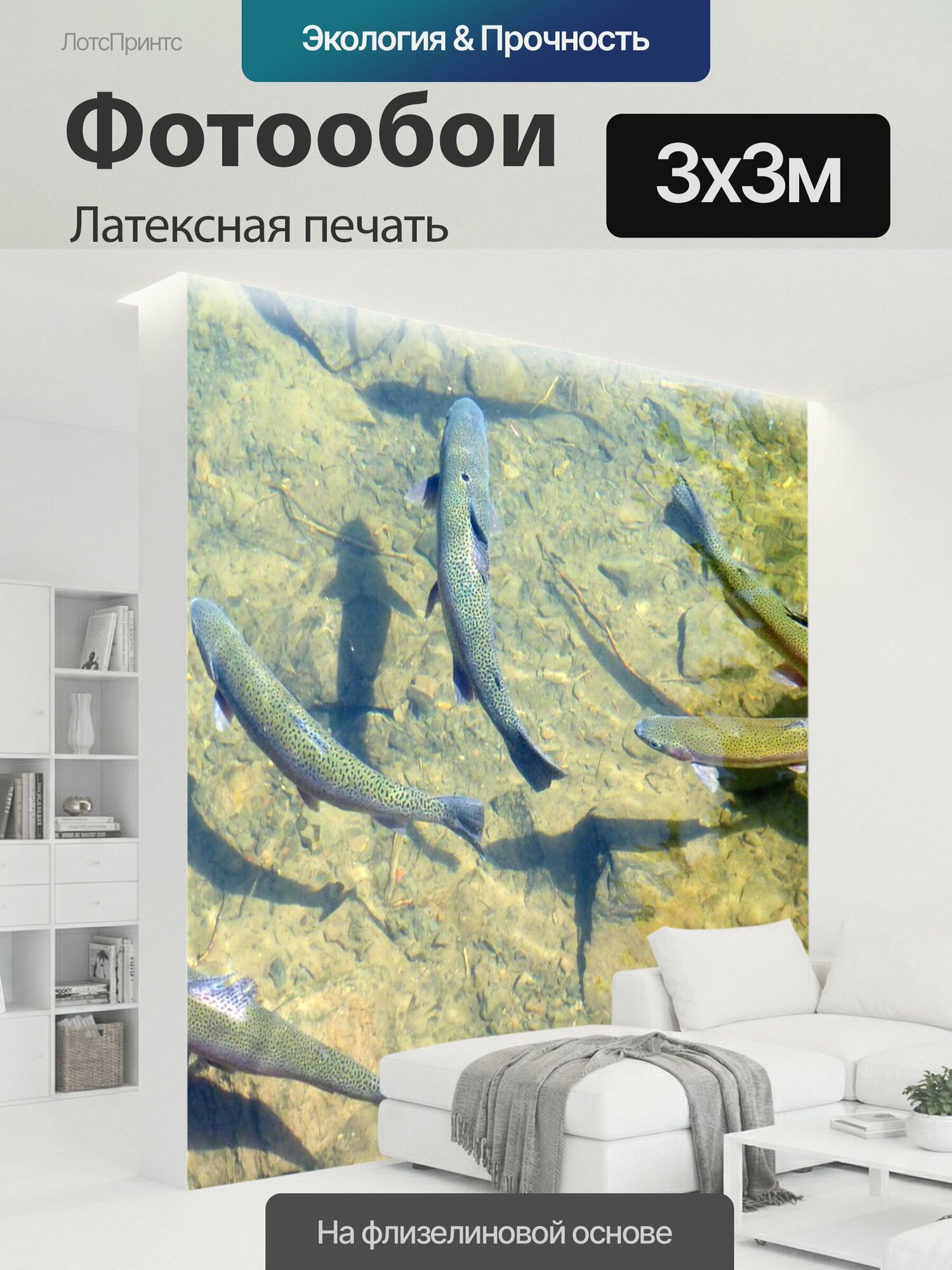 Фотообои моющиеся ударопрочные "Форель, рыбы, ловит рыбу" 300x300 см. латексная печать