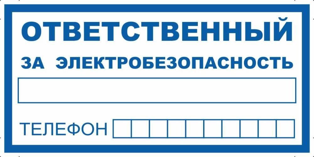 Табличка "Ответственный за электробезопасность" А5 (20х15см)