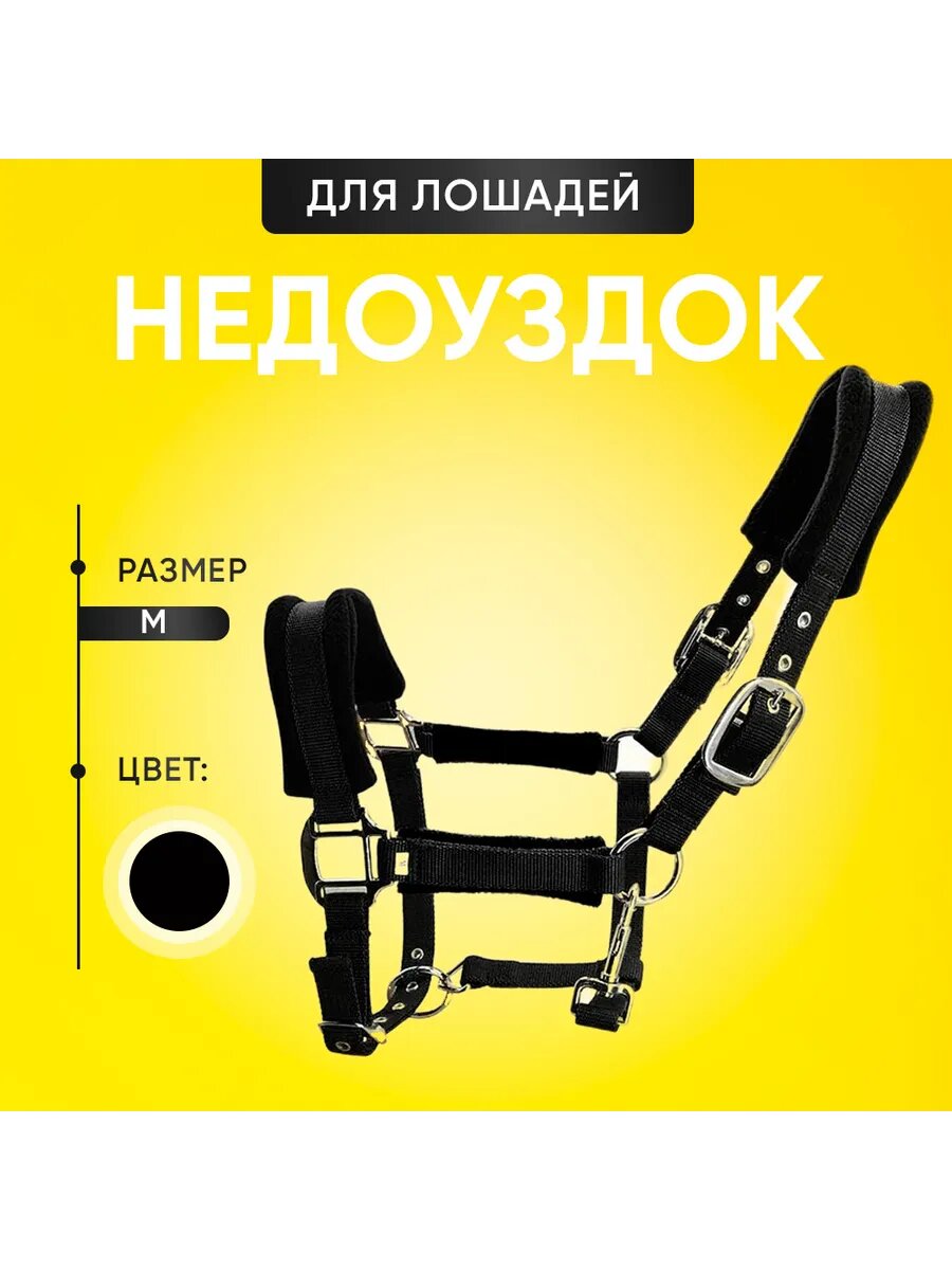 Уздечка, недоуздок для лошадей. Цвет черный. Размер M.