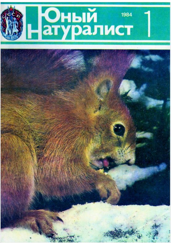 Журнал Юный натуралист №01 1984 г.