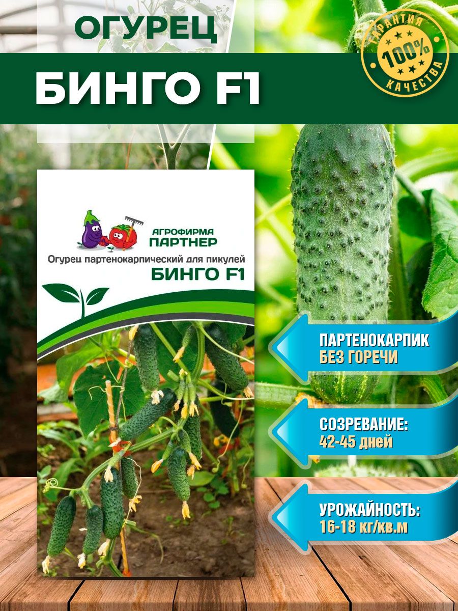 Семена огурца "Бинго F1" от Агрофирмы Партнер (1 пачка)
