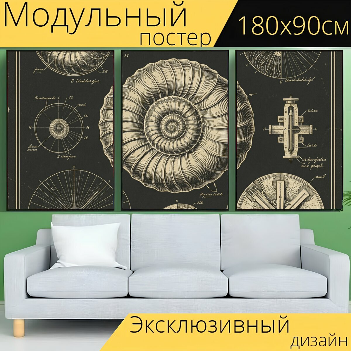 Модульный постер "Спиральные моллюски и схемы. Винтажная научная гравюра с наутилусами, круговыми чертежами и техническими разметками." 180 x 90 см. для интерьера на стену в тубусе
