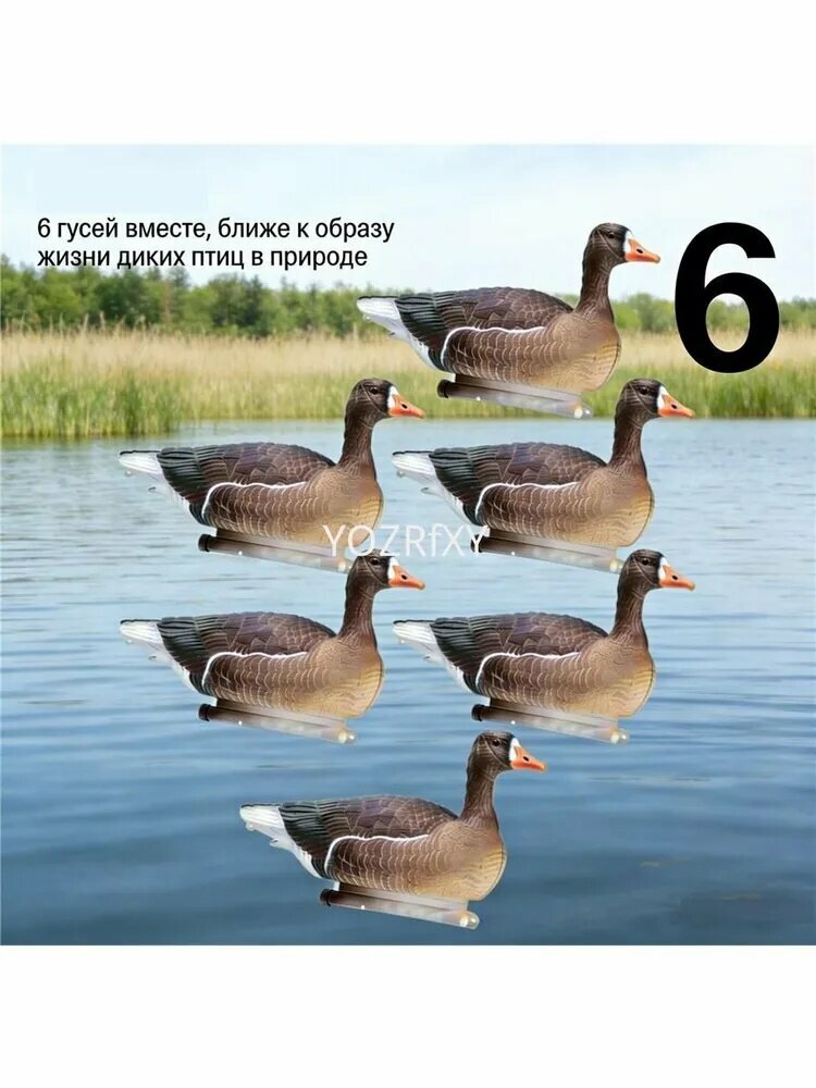 Чучело