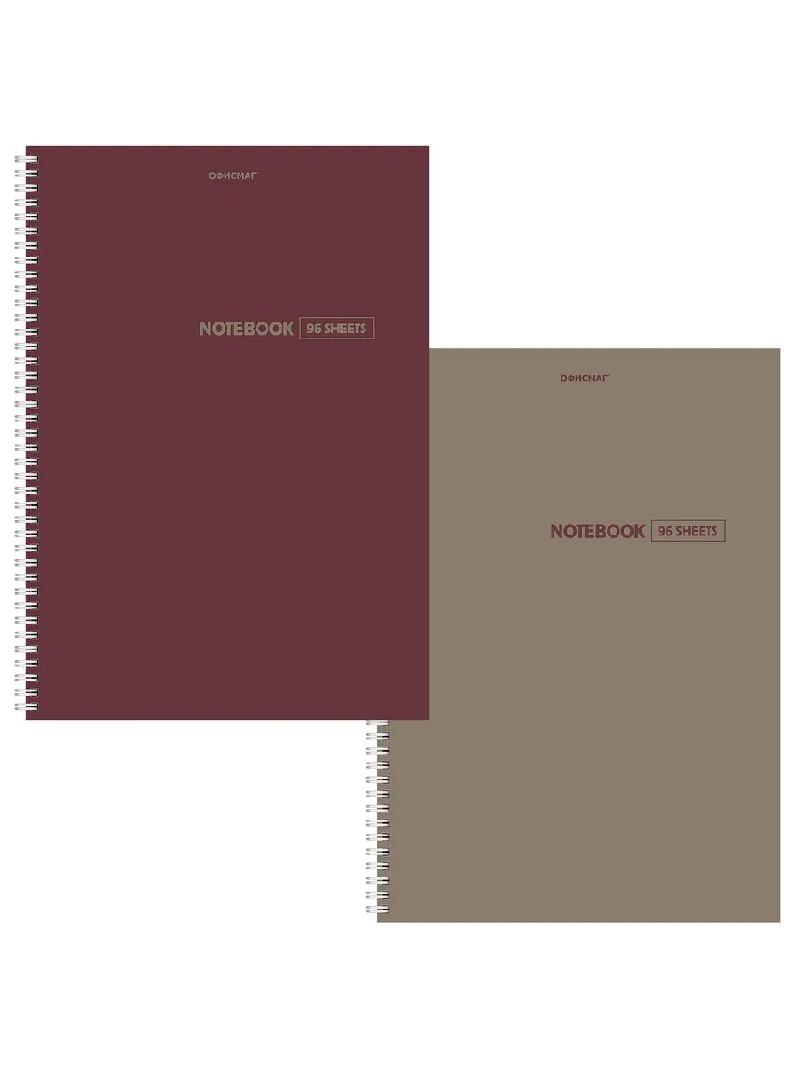 Тетрадь А4 96 л. клетка на гребне 2 шт.