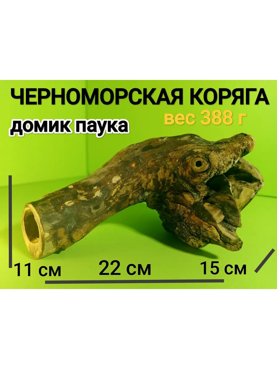 Коряга Черноморская домик паука для террариума, инсектариум