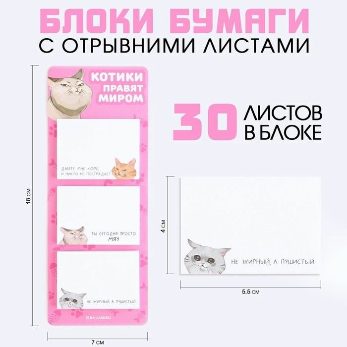 Блоки бумаги с отрывными листами, 30 л. "Котики"