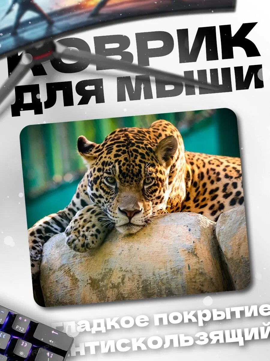 Коврик для мыши Леопард на камнях