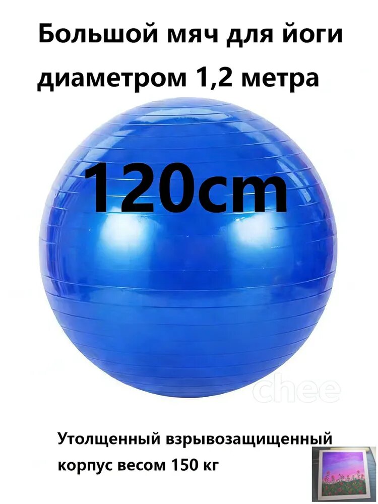 Фитбол, 2590 г
