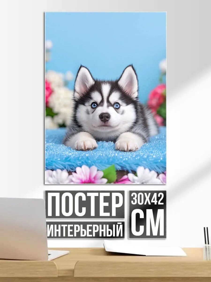 Постер на стену Хаске и цветы