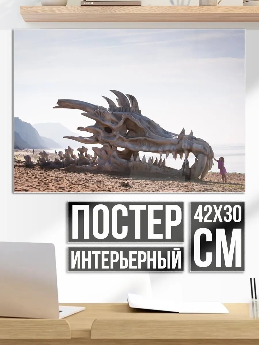 Плакат постер череп дракона