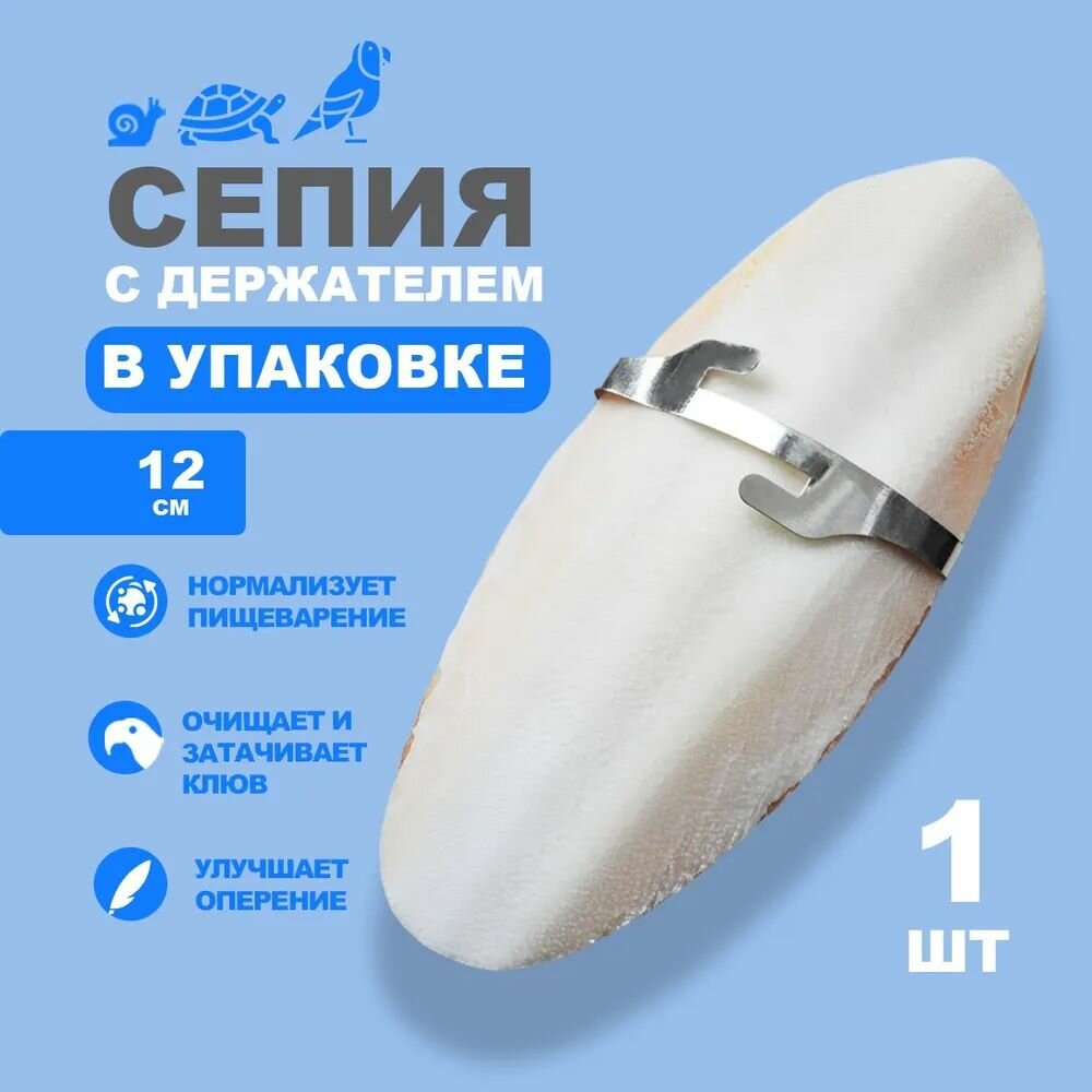 Сепия 12 см 1 штуки, панцирь каракатицы для улиток, черепах, попугаев, рептилий, корм для птиц
