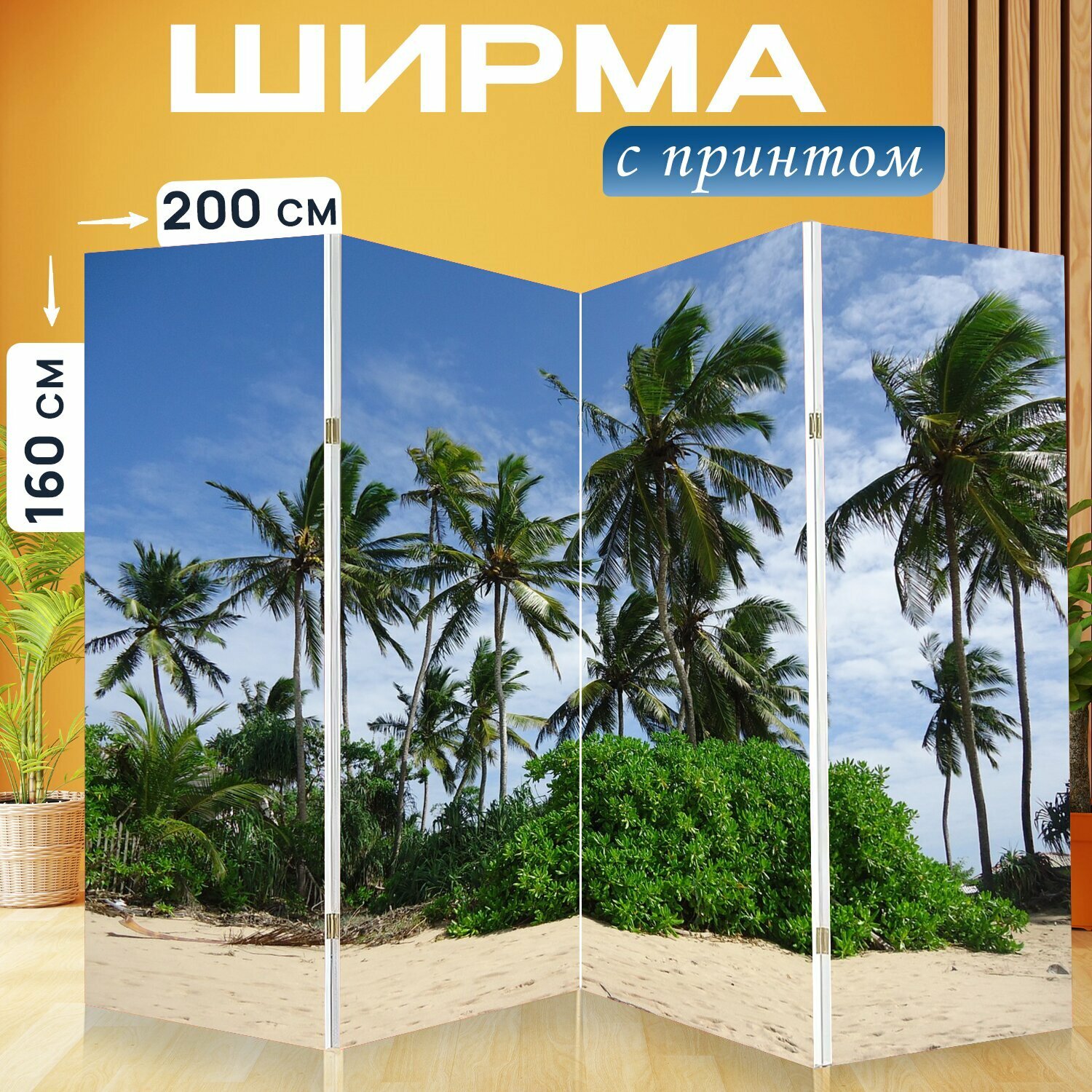Ширма "Шри ланка, природа, пляж" перегородка для зонирования комнаты с принтом 200x160 см. на холсте