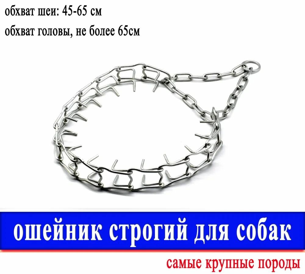 Ошейник строгий, острые шипы, для больших собак, толщина проволоки 4 мм