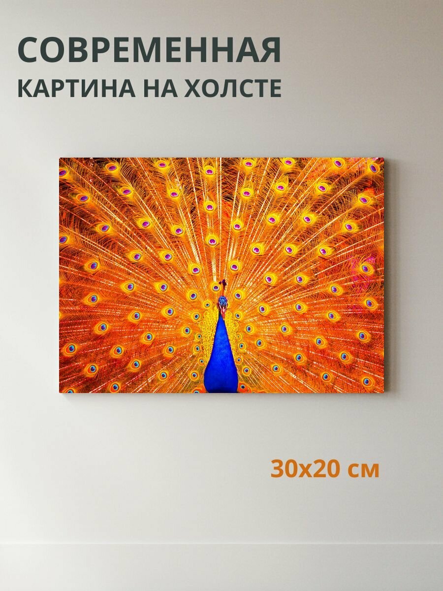 Картина на холсте Павлин 30x20 см