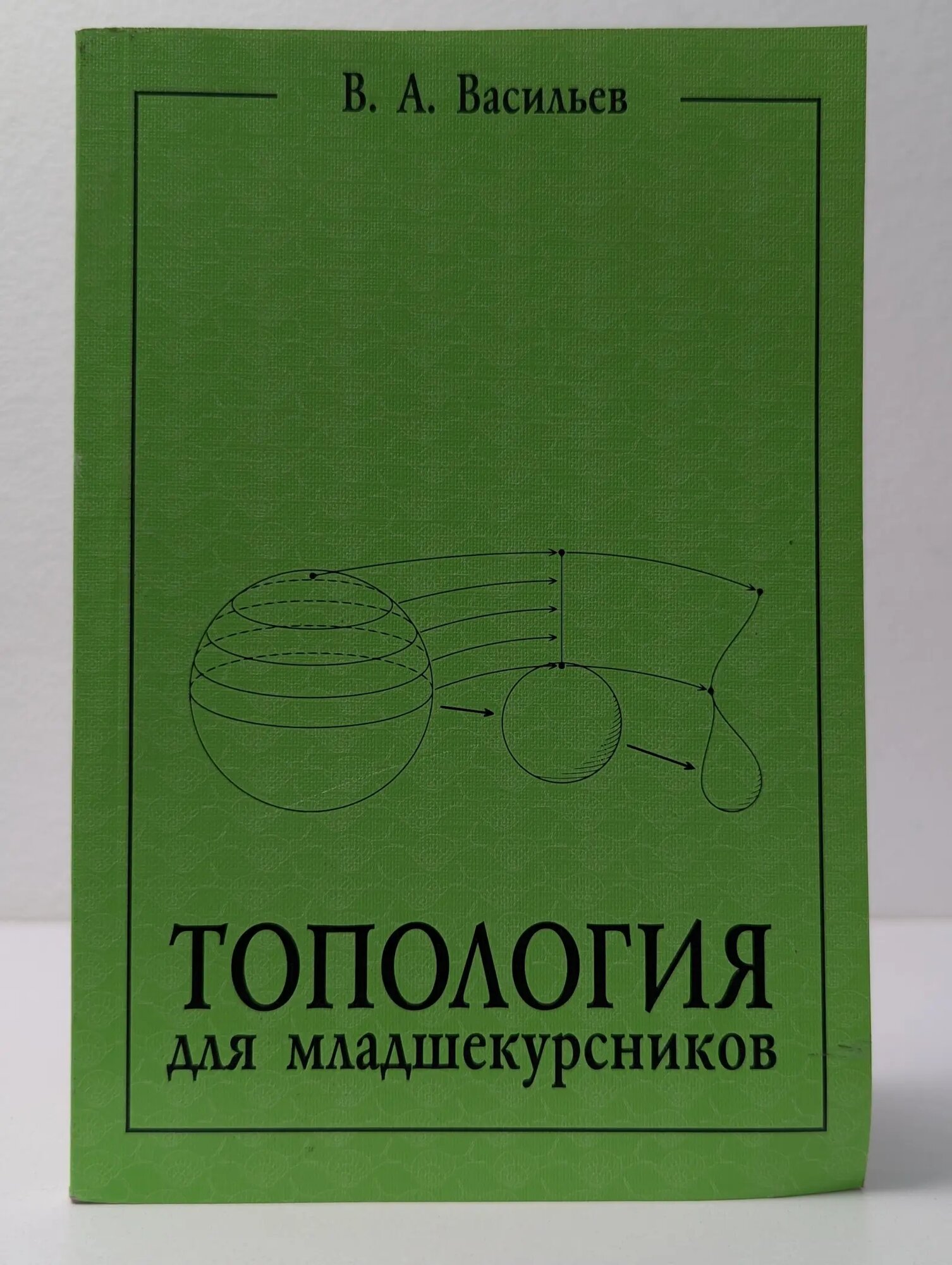 Топология для младшекурсников Васильев Виктор Анатольевич 2014