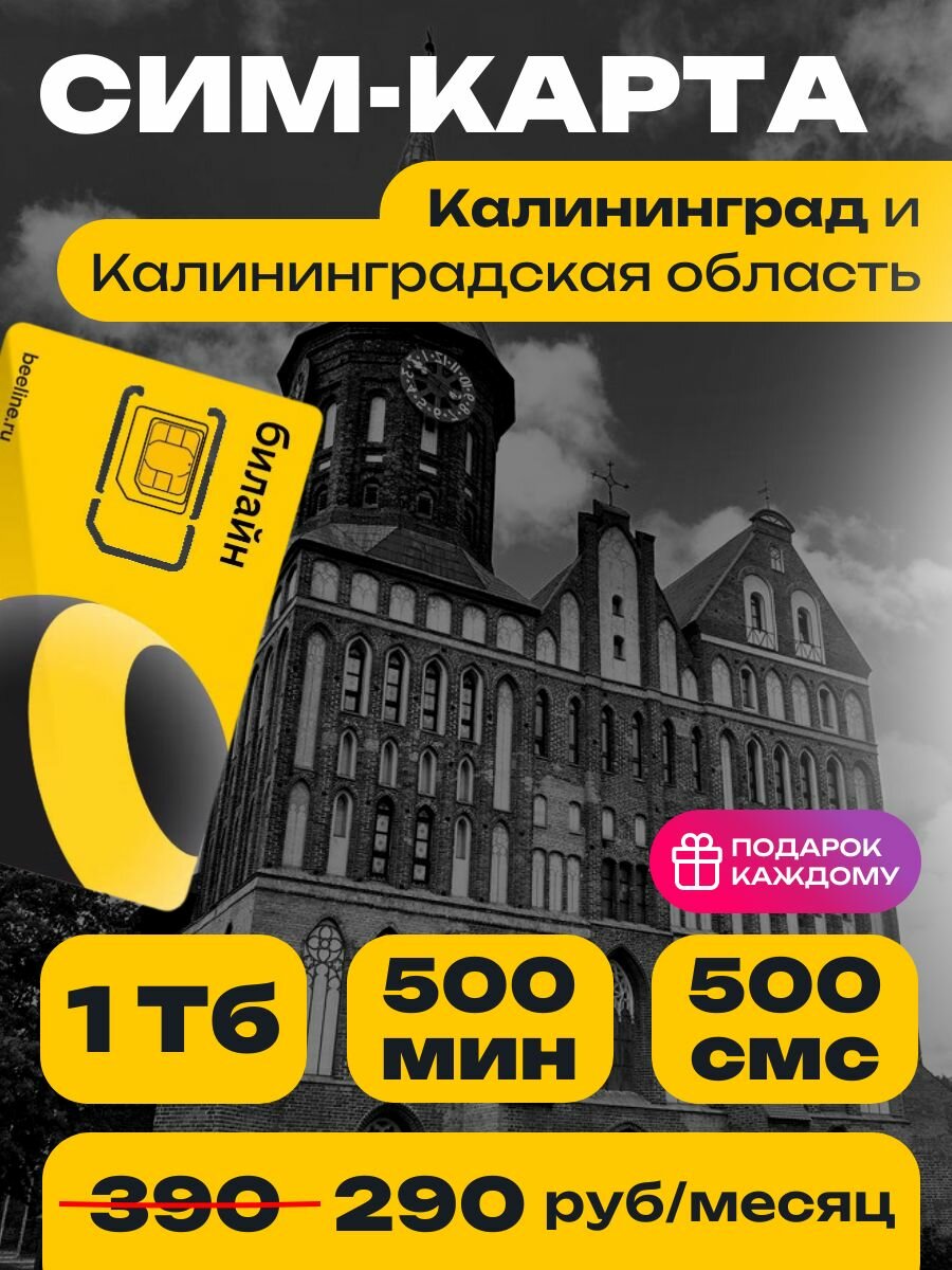 Сим-карта Билайн тариф Эксклюзивный Онлайн Лайт Калининградская область 1024 Гб + 500 минут за 290 руб.